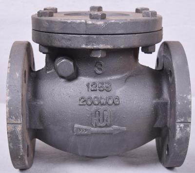 Milvaco Cast Iron 3" IBBM Check Valve Fig 2974M | eBay