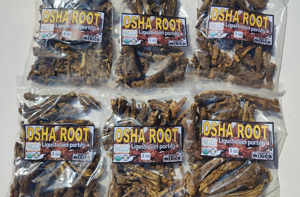 3oz Osha Root, Bear Root, Ligusticum porteri, mountain lovage root ...