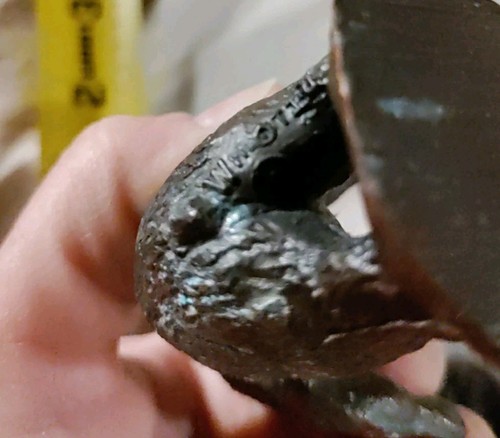 🔥William WM OTTO La Brea Tar Pits Bronze bear 🔥 | eBay