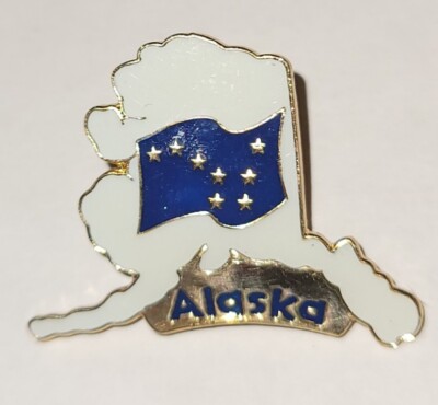 Alaska flag pin- lapel, hat pin-Alaskan/ big dipper/ USA-blue and gold ...