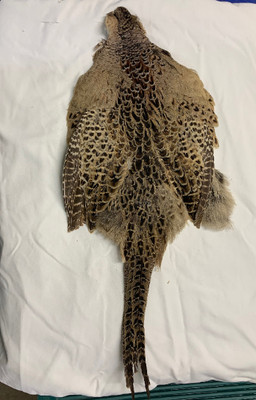 Feathers - Bird Feathered Pelt