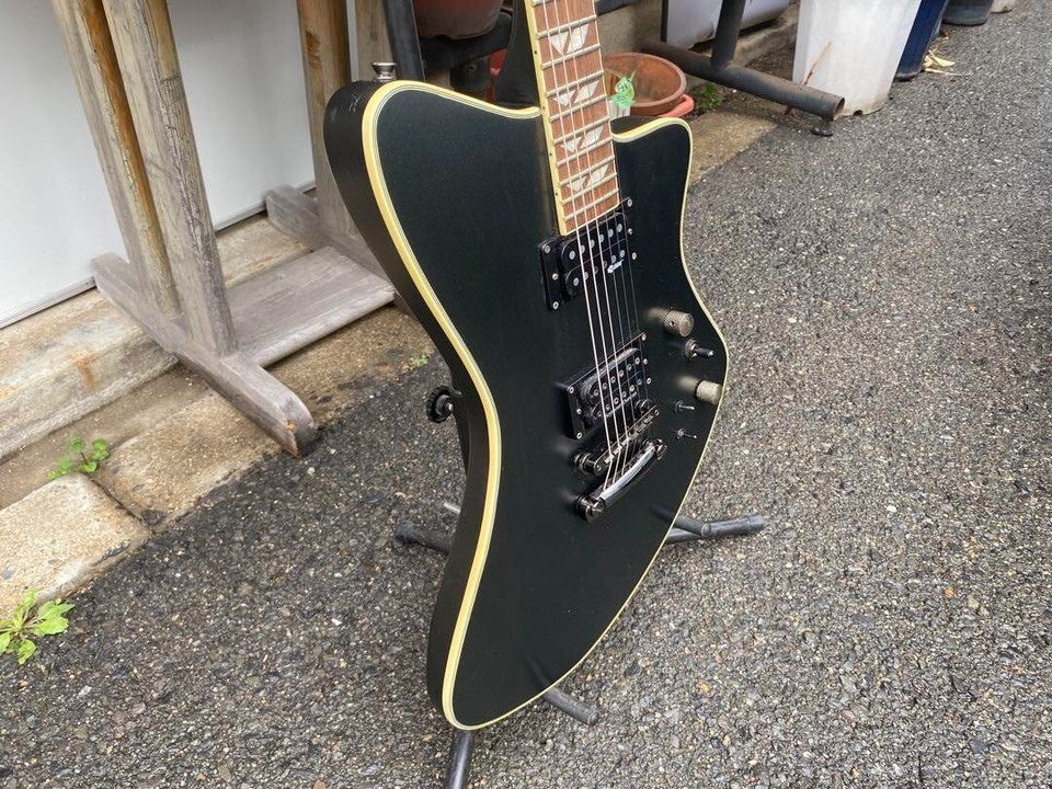 Fernandes Vertigo Elite Sustainer Shachi Black From JAPAN | eBay