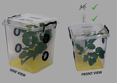 Praying Mantis,Stick Insect,Arboreal Vivarium.Cage,Enclosure (Twin ...