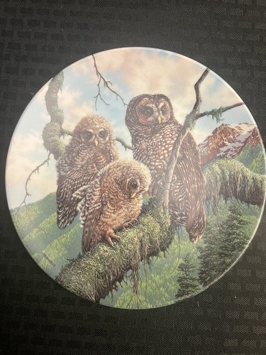 WOODLAND WATCH: SPOTTED OWLS PLATE - UNDER MOTHER's WING by Jim ...