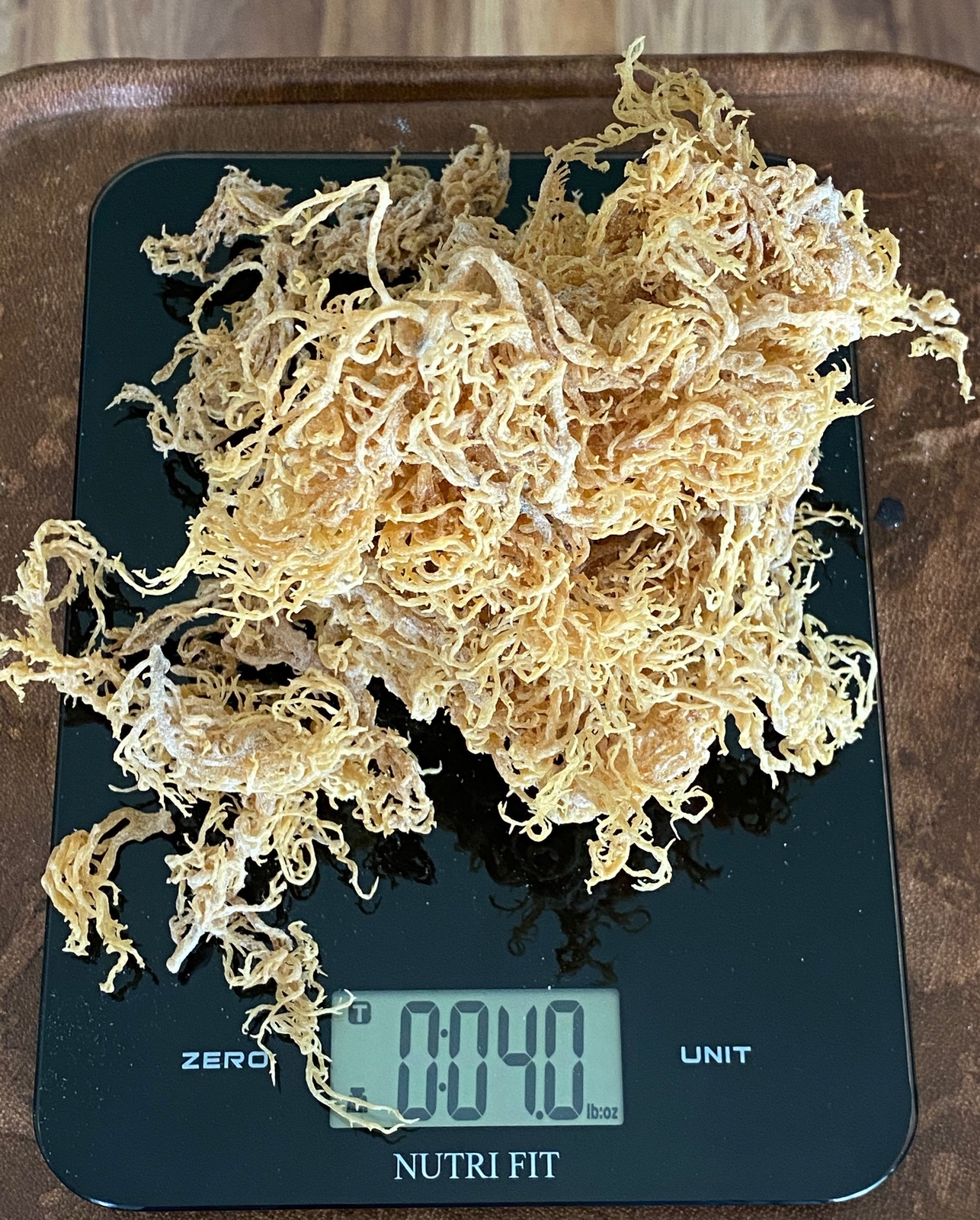Raw Wild crafted Sea moss from the Caribbean | eBay