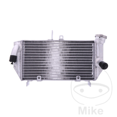 JMP Radiator fits Yamaha R3 320 A ABS 2022 | eBay