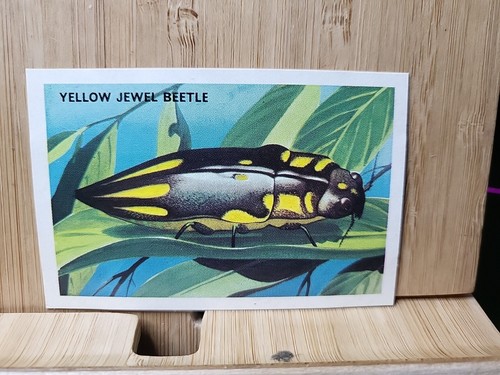 Shell Project Cars AUSTRALIAN BEETLES🏆#323 YELLOW JEWEL BEETLE 1960's ...