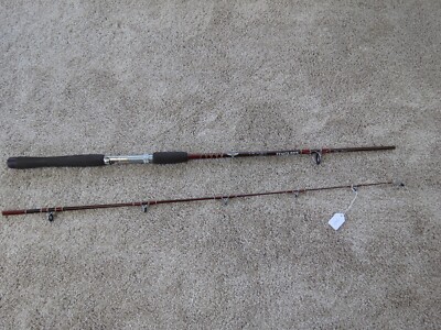 Big Game Rods - Fenwick Fenglass