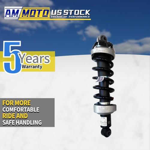 Rear Left Shock Absorber Struts Magnetic Ride Fit 2007-2015 Audi R8 V8 ...