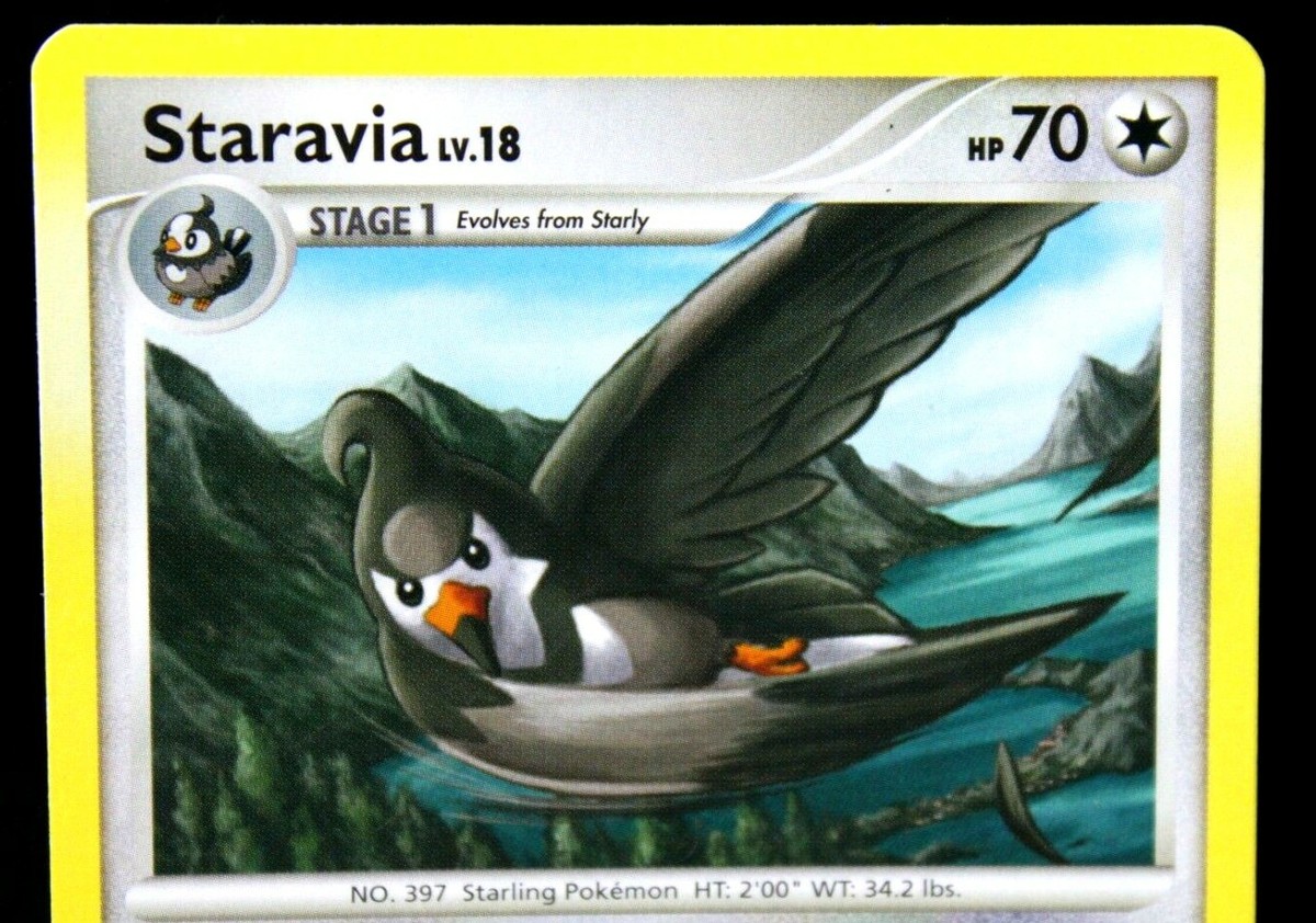 Staravia Card
