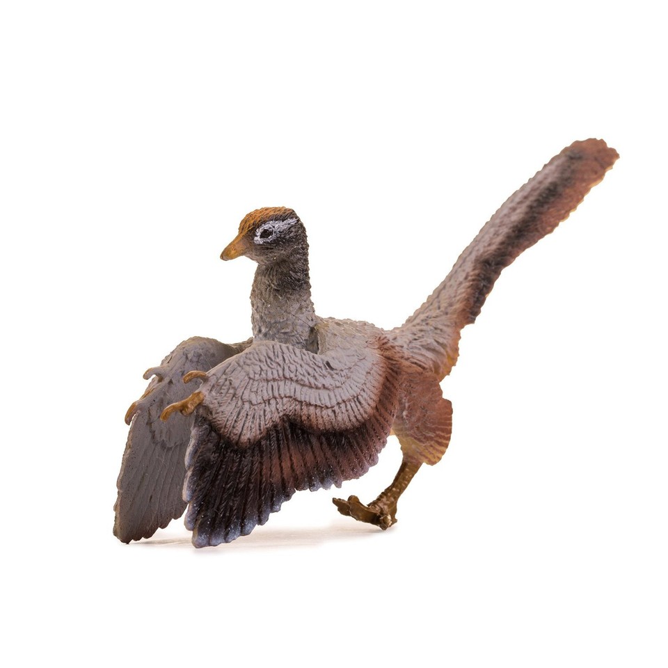 PNSO rare Archaeopteryx kinder Dinosaur Figure kids education museum ...