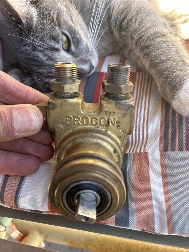 PROCON Pump,Rotary Vane,Brass Used | eBay