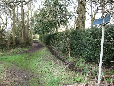 Photo 6x4 Hedge lined path Bagshot/SU9163 The Windlesham area has a lot ...