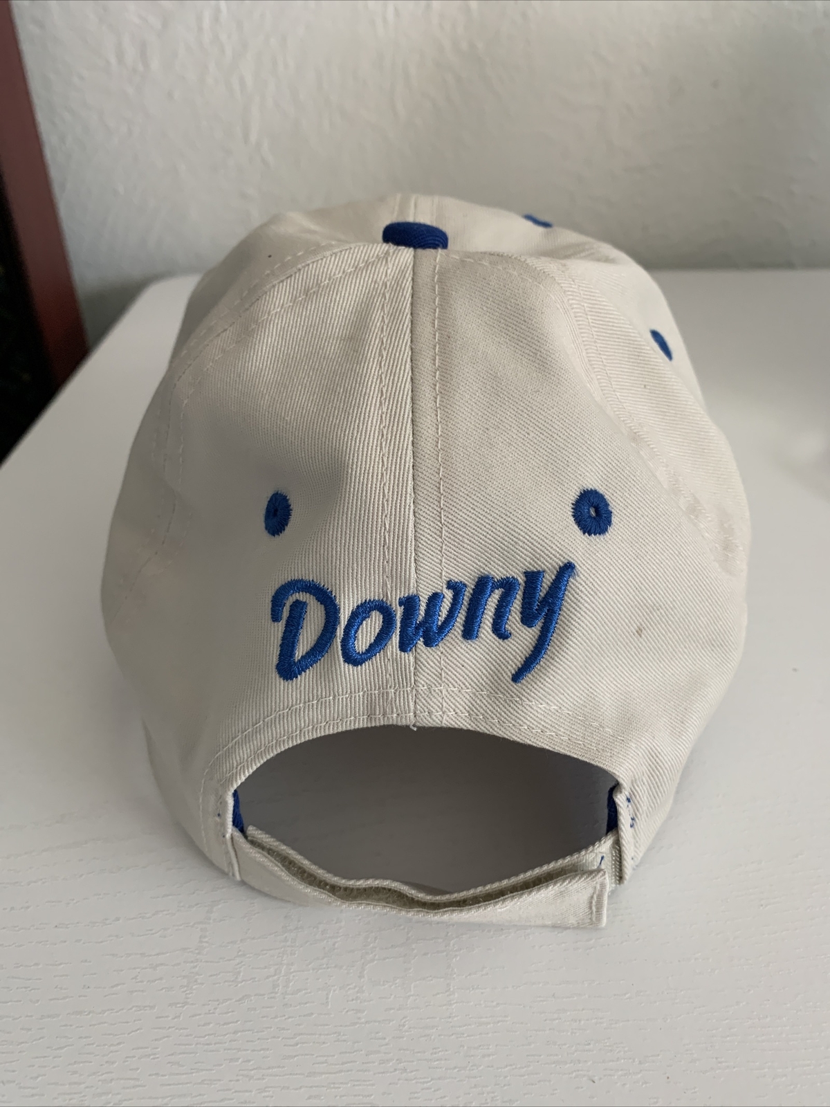 Vintage NASCAR Tide Racing Downy Embroidered Hat Cap … - Gem