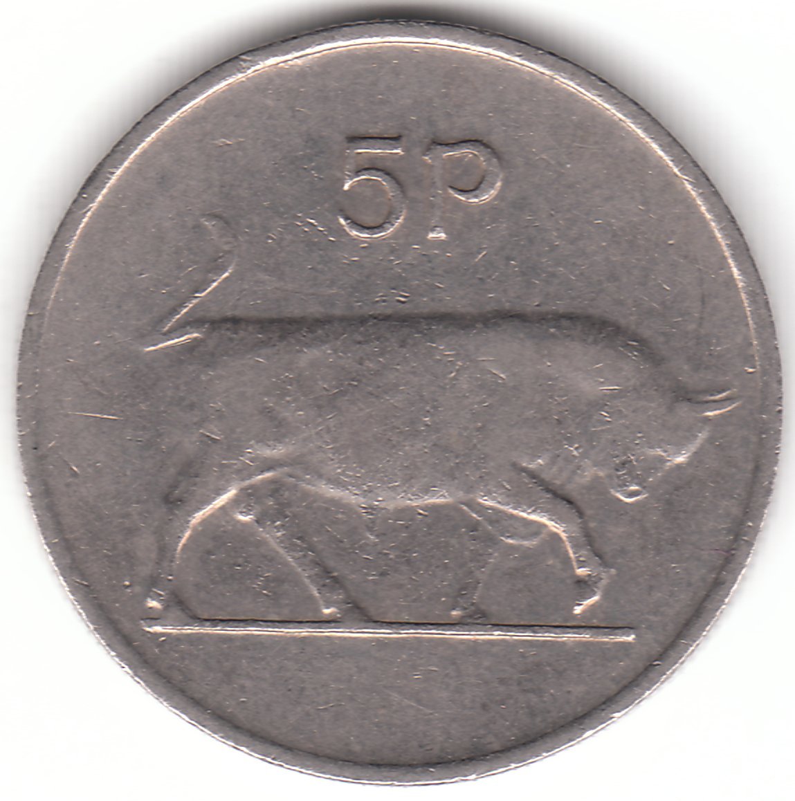 Ireland 5p Pence 1976 Copper-nickel Coin - Bull | eBay