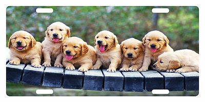 GOLDEN RETRIEVER DOG Custom License Plate CANINE BREED Emblem Puppies ...