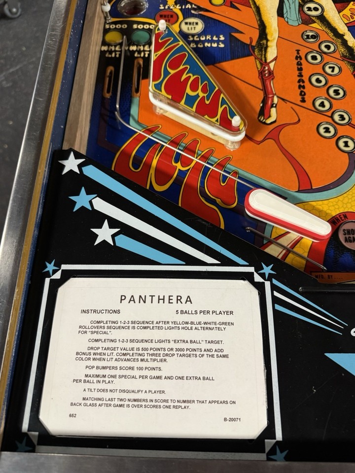 1980 GOTTLIEB PANTHERA PINBALL MACHINE PROFESSIONAL TECHS 8 DROP ...