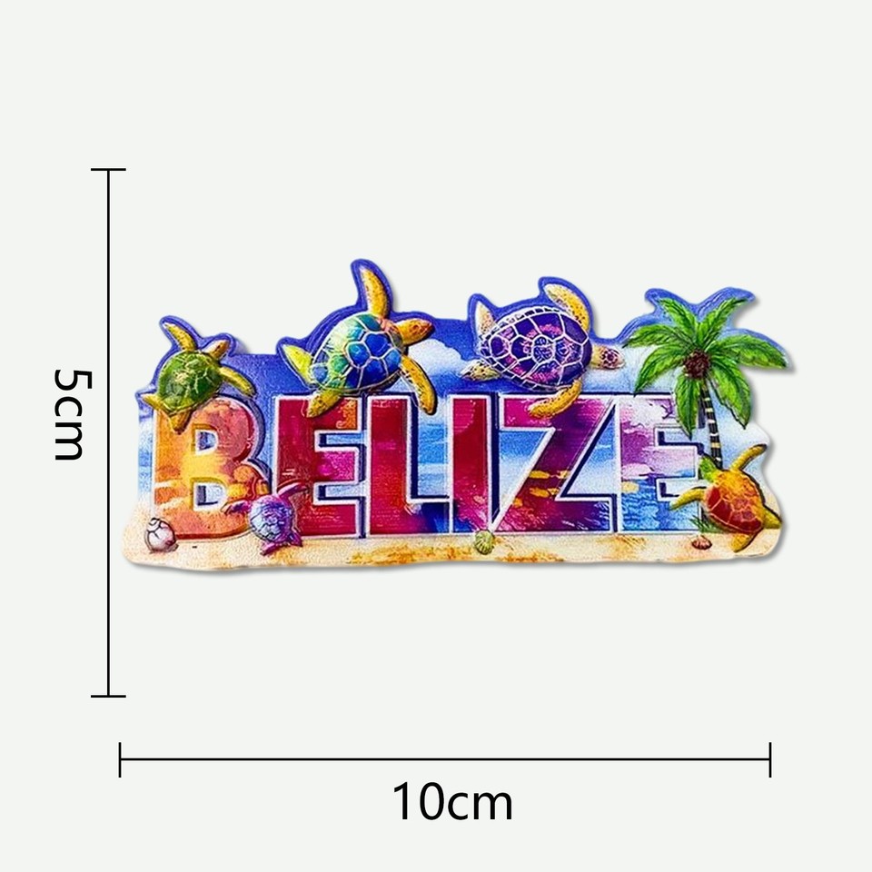 Belize Turtle 3D Fridge Magnet Tourist Souvenir Resin Refrigerator ...