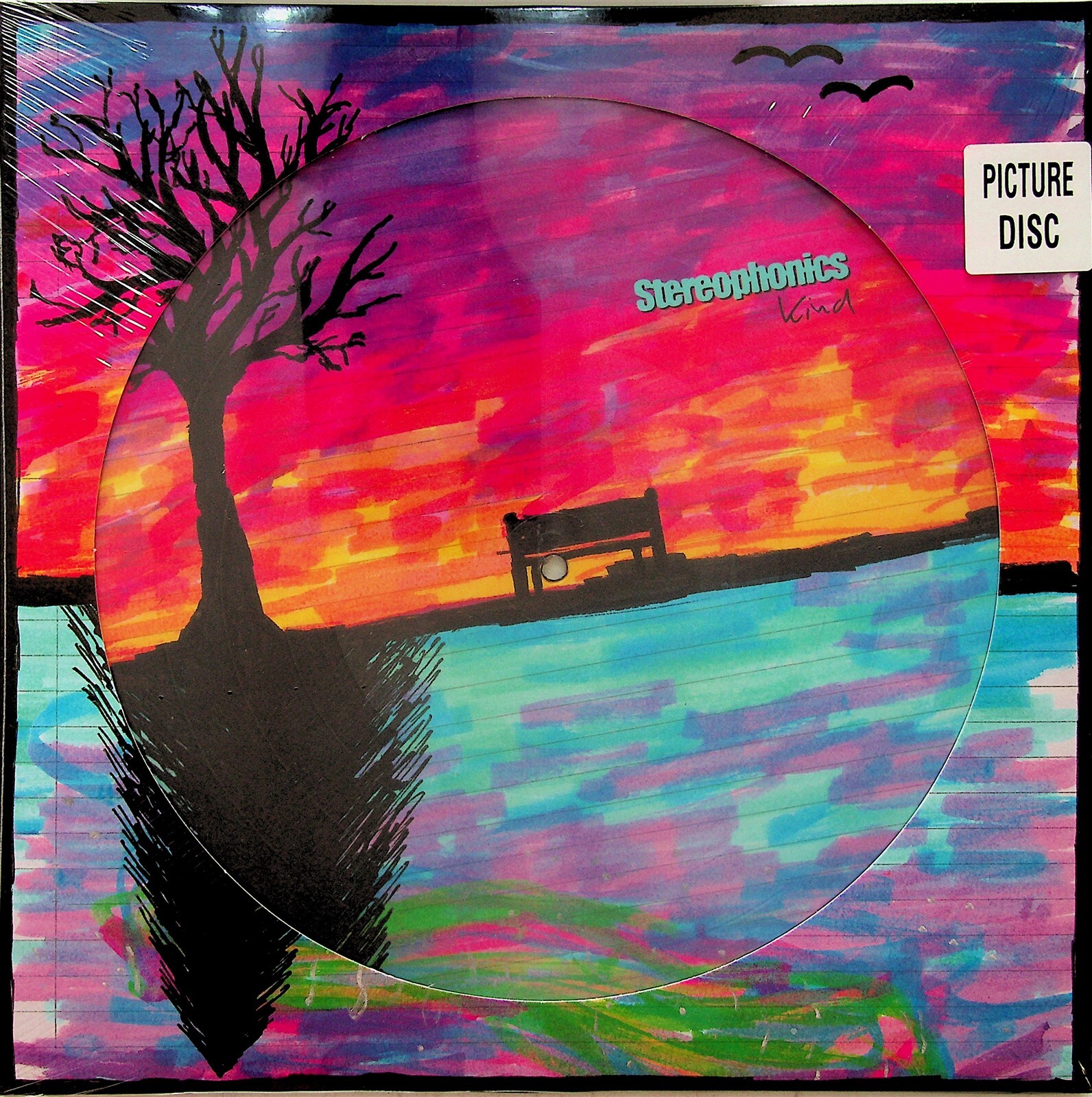 Stereophonics Kind HMV Edition Picture Disc Vinyl LP for sale online | eBay
