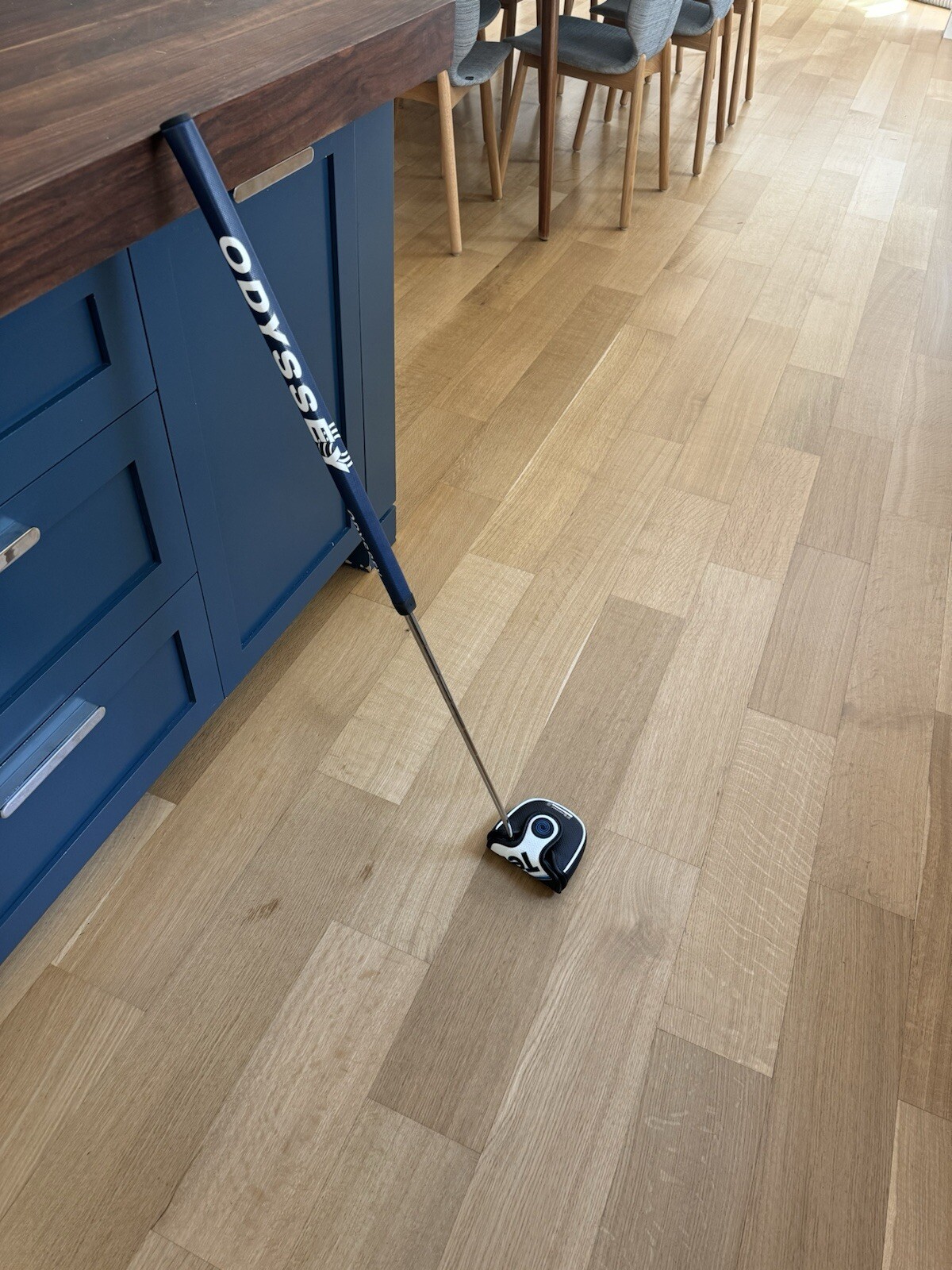 Odyssey Golf 2-Ball Ten Arm Lock Putter Left Handed 40 Inch | eBay