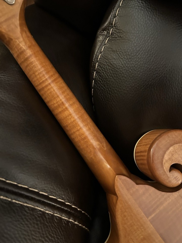 Weber F-style mandolin, Fine woods, Bitter root model. Includes hard ...