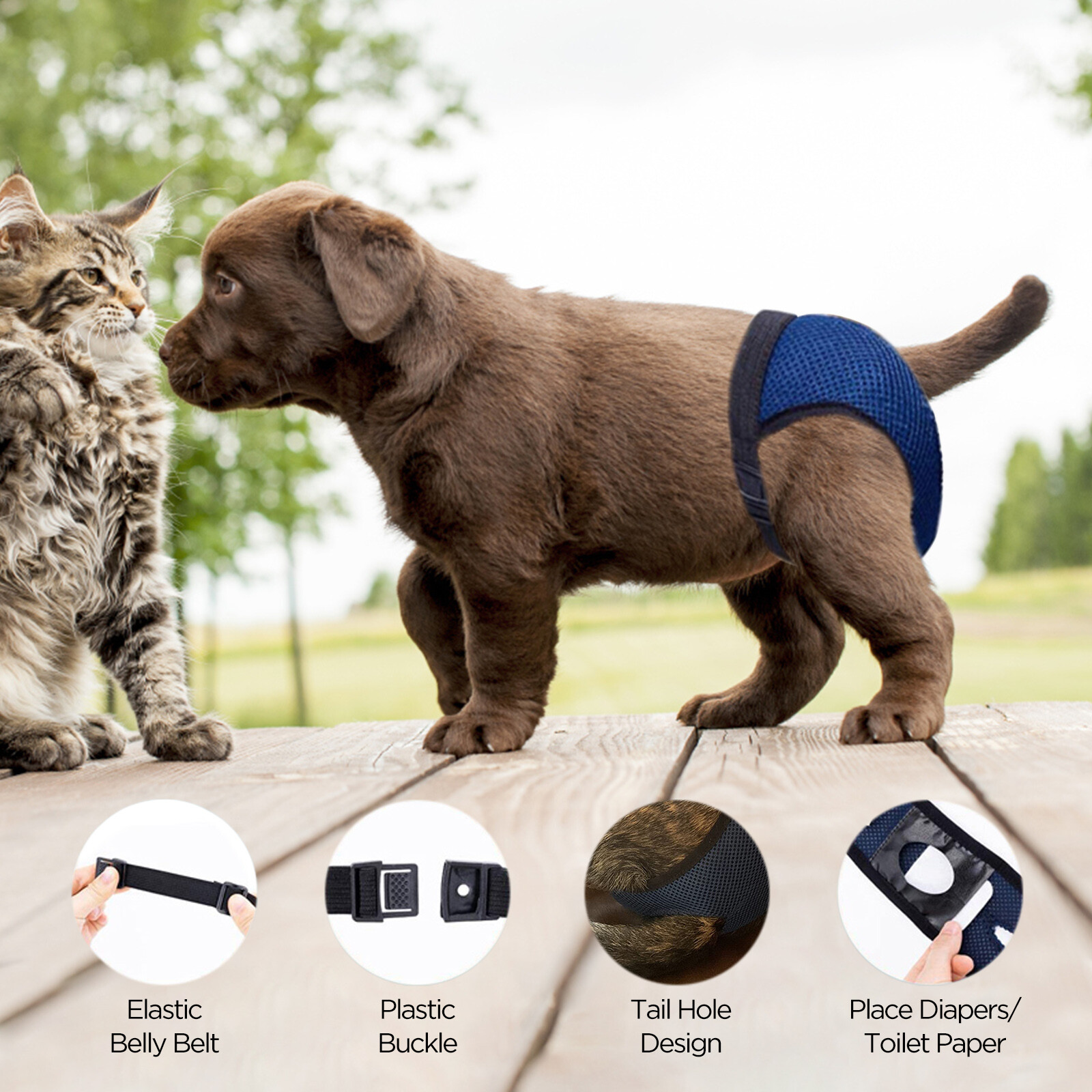 Washable Female Pet Dog Cat Nappy Diaper Physiological Pants Panties ...