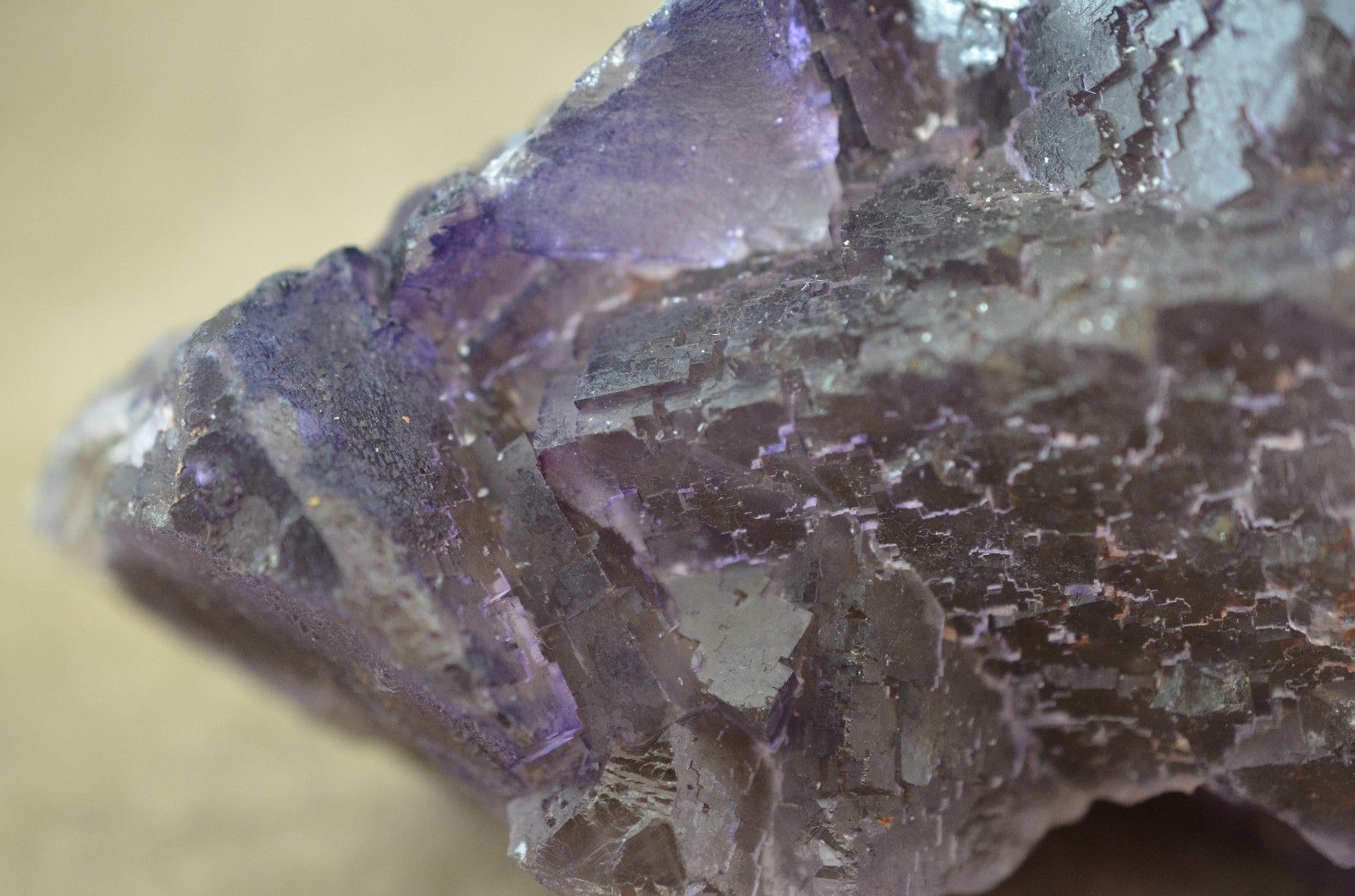 Large Muzquiz Purple Fluorite Crystal Cabinet Specimen Musquiz Coahuila ...