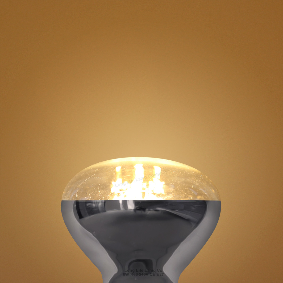 LED Reflector Light Bulbs Replacement for Halogen Reflectors R50 R63 ...