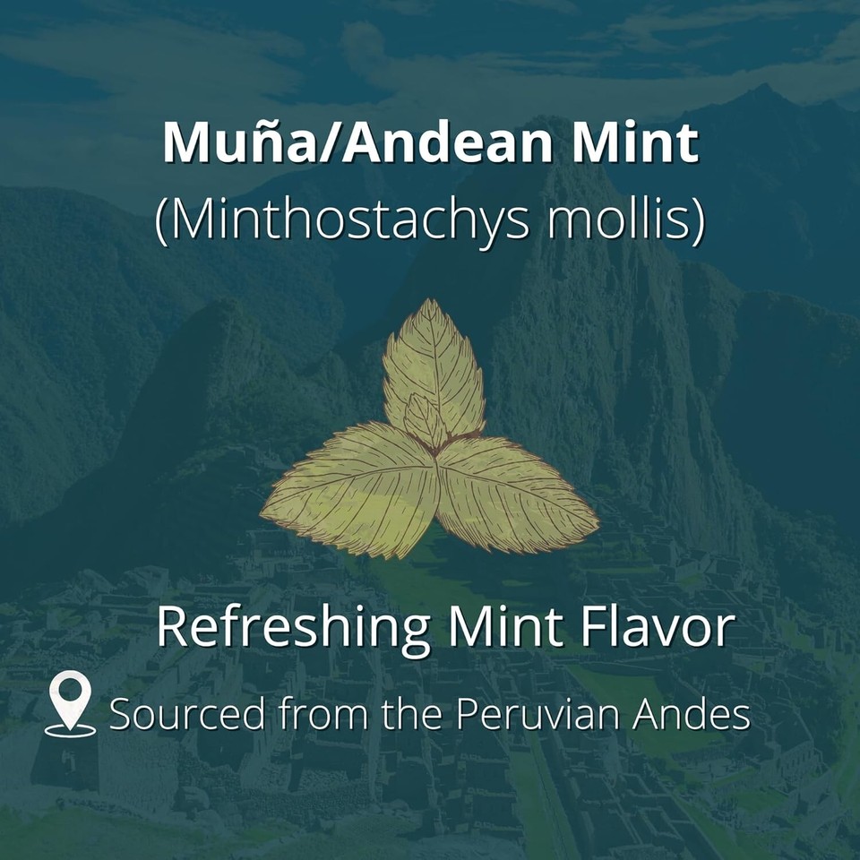 Andean Mint Tea Te de Muña 25 Tea Bags - 100% All Natural Wild Muna ...