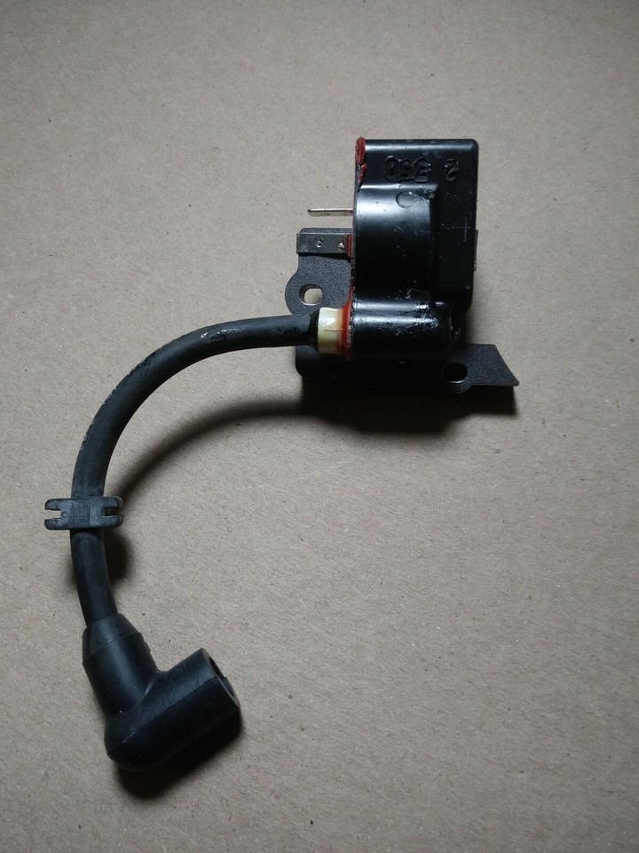 Poulan ignition module 530039134 | eBay