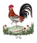French Le Cog Rooster Quilt Block Multi Sizes FrEE Shipping | eBay