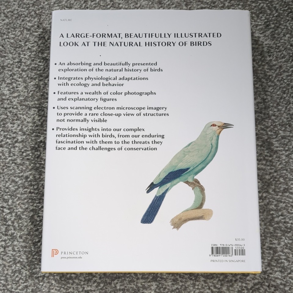 What Is a Bird? by Tony D. Williams (Hardback Book) 9780691200163 | eBay UK