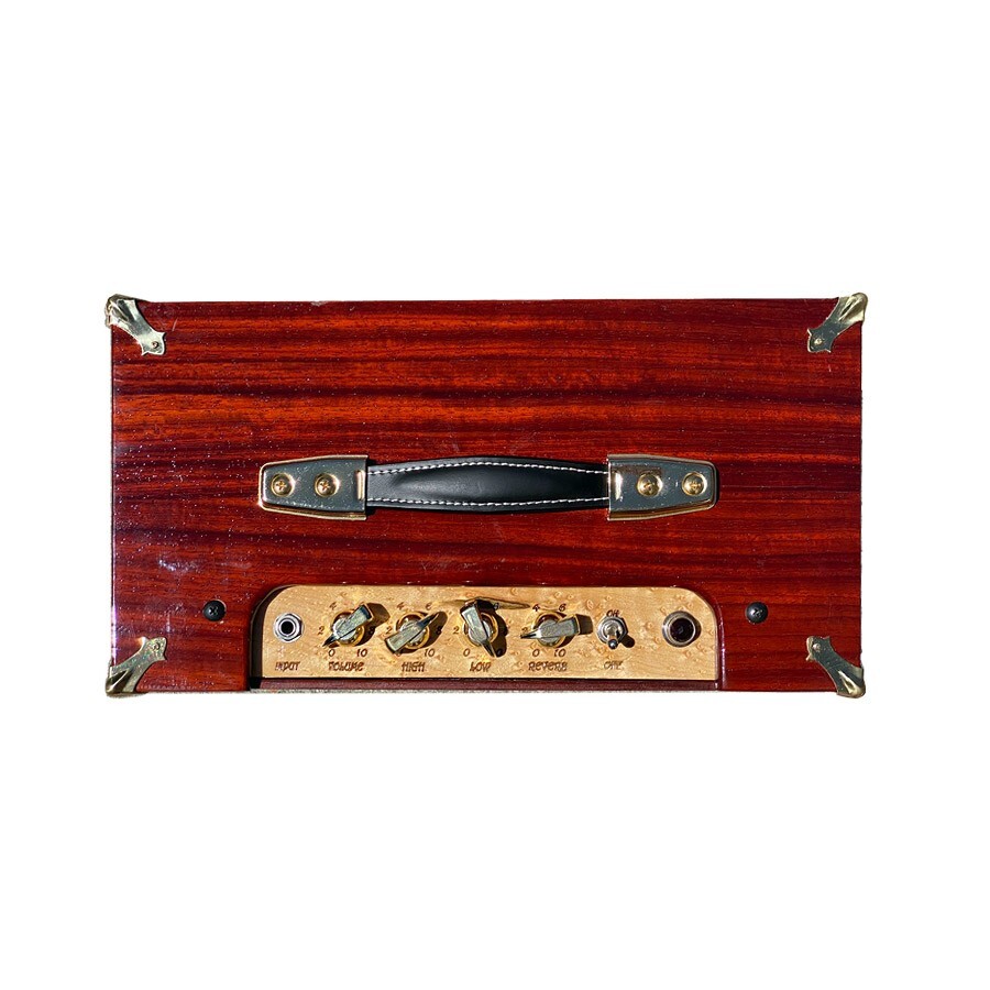 Unique Ashen "Goldy" 20 Watts 12" Handmade Tube Guitar Amp Combo w ...
