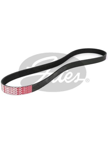 Gates Micro-V Ribbed Belt fits Nissan Maxima 3.5 J31 (6PK1075) | eBay