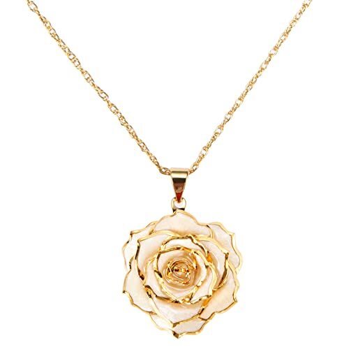 AliveRose Real Rose Gold Dipped Necklace Gifts for Women Girls, 24K ...