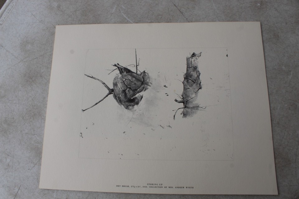 10 of 12 Four Seasons Andrew Wyeth Art print reproduction portfolio w ...