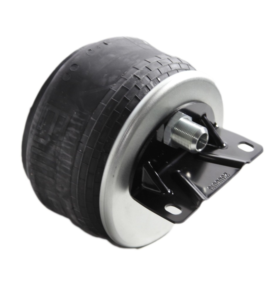 Set of 2 Air Suspension Spring Bags for W01-358-9622 65367 1R11221 ...