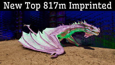 Wyvern Wyvern Wikipedia