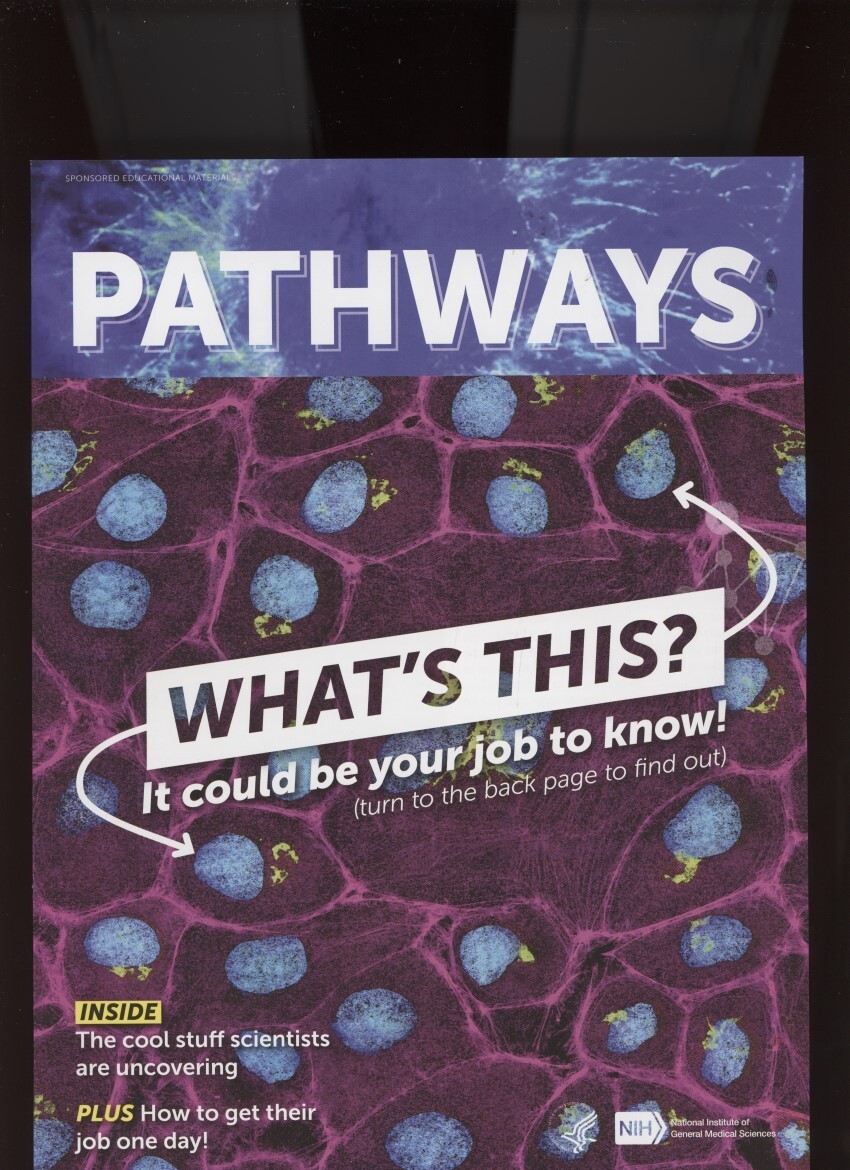 PATHWAYS: WHAT'S THIS? IT COULD BE YOUR JOB TO KNOW! /NIH PAMPHLET ...