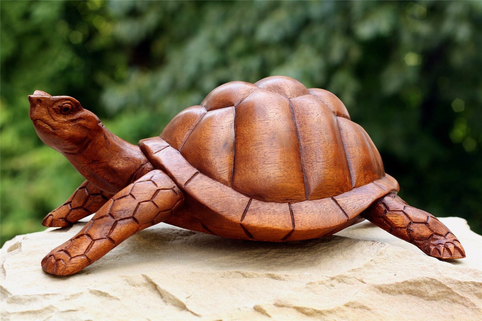 12 Wooden Tortoise Turtle Statue Hand Carved Sculpture Wood Home Decor