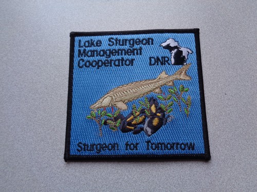 1ST YEAR - MICHIGAN DNR LAKE STURGEON FISHING PATCH. STURGEON FOR ...