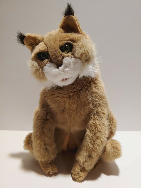 Folkmanis Bobcat Hand Puppet Plush Stuffed Animal 15" 4 2rainbow Only ...