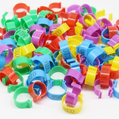 100 PCS Bird Rings for Legs Canaries Budgie Foot Tags Identification | eBay