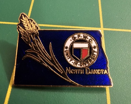 Vintage North Dakota GFWC Unity In Diversity Enameled Lapel Pin | eBay