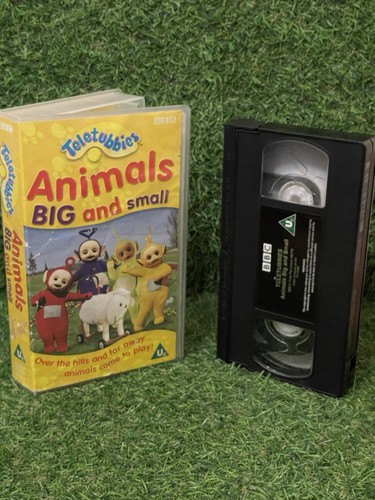 Teletubbies - Animals Big And Small (VHS, 2001) Children’s Video Tape ...