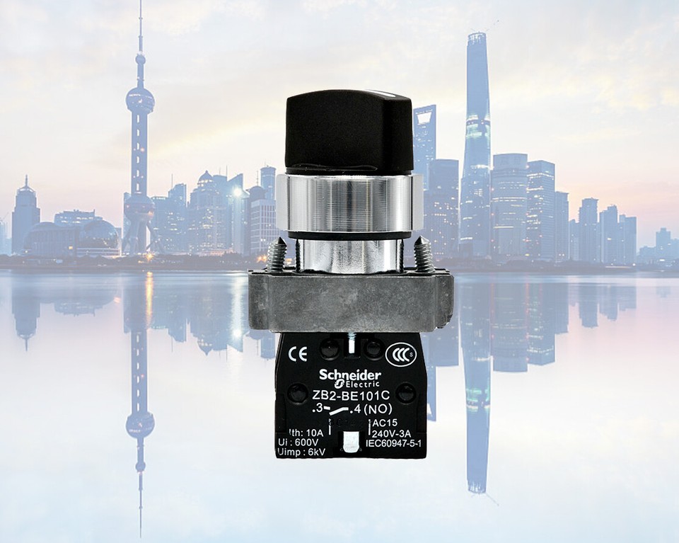 1PC NEW Schneider select switch XB2BD25C ZB2BZ105C+ZB2BD2C | eBay