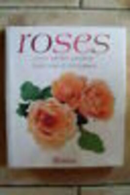 Mark MATTOCK Roses pour petits jardins balcons terrasse | eBay