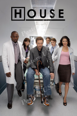 House TV Show Series Premium POSTER MADE IN USA - TVS129 | eBay