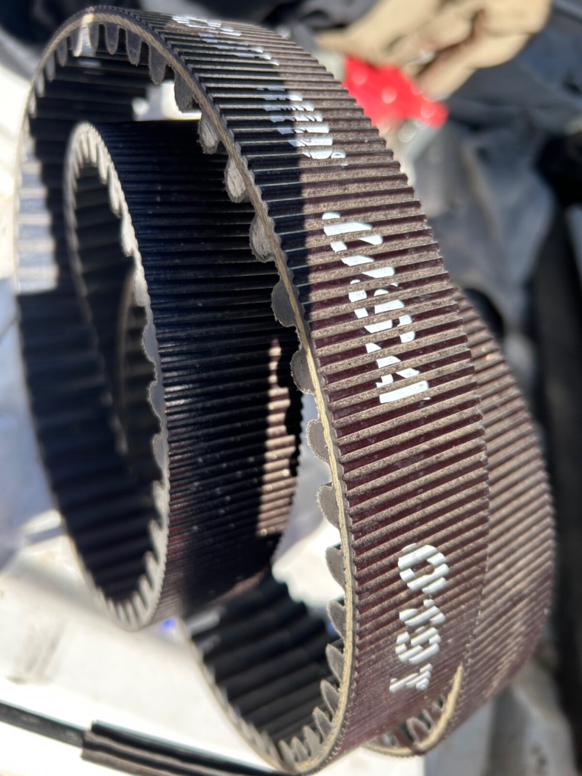 Harley 135T BdL Drive Belt | eBay