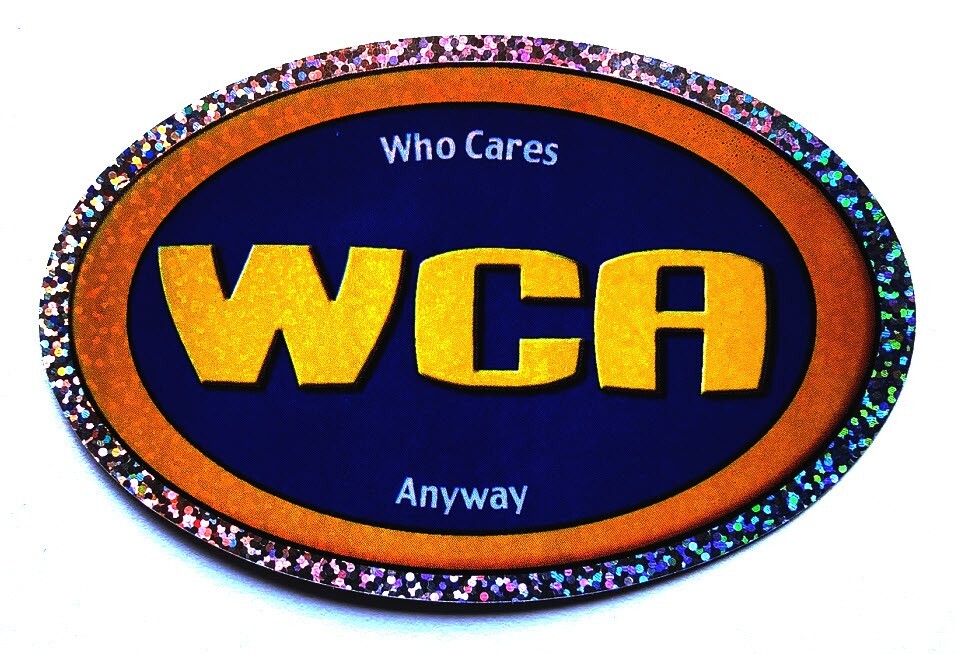4 BRAND NEW "WHO CARES ANYWAY" WCA ACRONYM GLITTER STICKERS 2.5" H x 4 ...